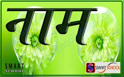 Noun in Marathi | नाम म्हणजे काय